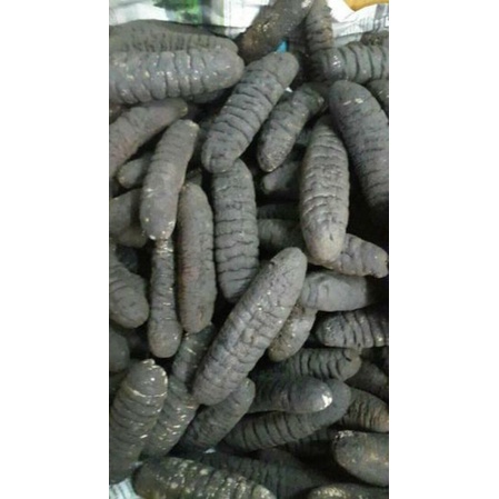 Jual Haisom Kering Teripang Kering Asli Belitung 500 Gram Isi 20 ...