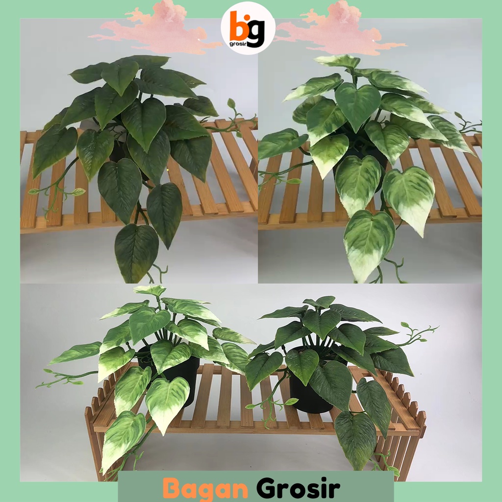 Jual BG Tanaman Hias Juntai Plastik Pot Bunga Hias Artificial Bonsai ...