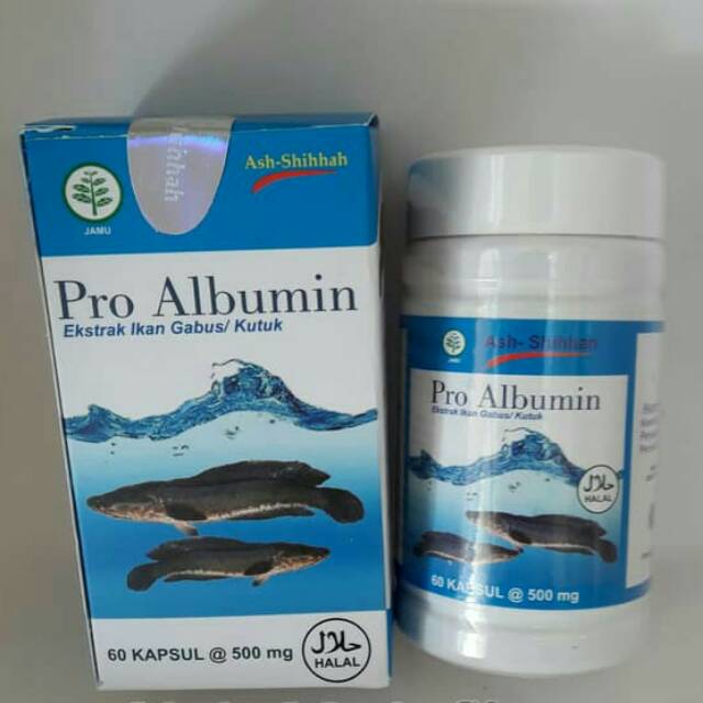 Jual PRO ALBUMIN KAPSUL EKSTRAK IKAN GABUS / KUTUK | Shopee Indonesia