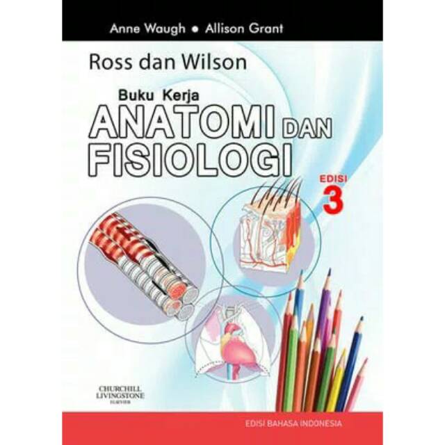 Jual Buku Kerja Anatomi dan Fisiologi edisi 3 - Ross Wilson | Shopee Indonesia
