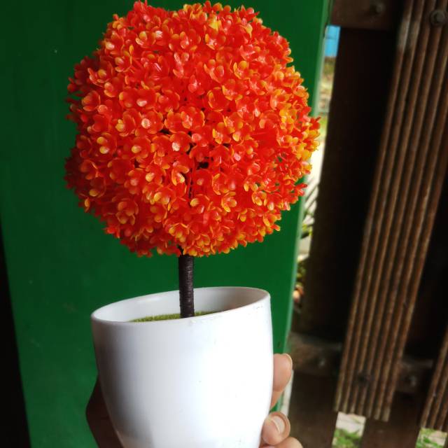 Jual Bunga bulat plastik orange ( langsung kirim ) | Shopee Indonesia