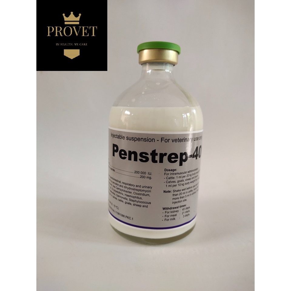 Jual Penstrep-400 Antibiotik Injeksi 100 ml | Shopee Indonesia