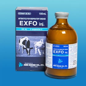 Jual EXFO inject 100ml | Shopee Indonesia