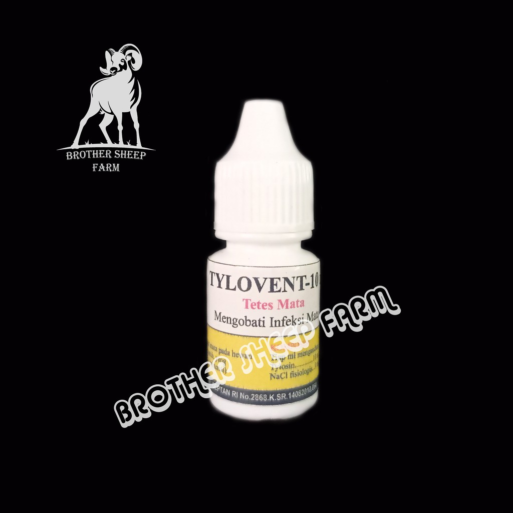 Jual Tylovent - 10mg obat mata hewan (Kucing, Domba, Kambing, Sapi dll ...