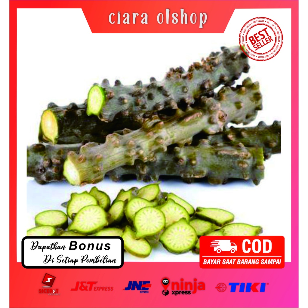 Jual Batang brotowali segar 1kg batrawali/bratawali herbal bisa ditanam ...