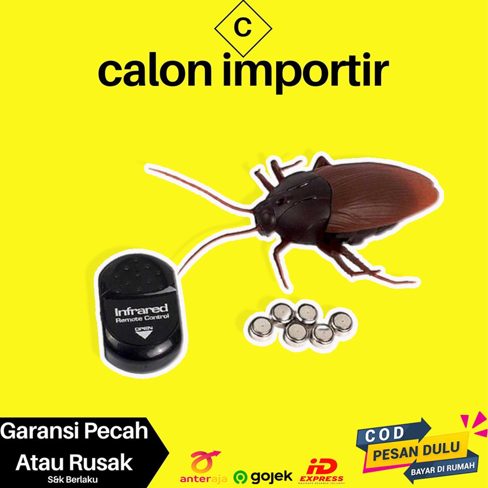 Jual Kecoa Mainan Prank Kecoa Dengan Remot Kontrol Giant Roach Wireless ...