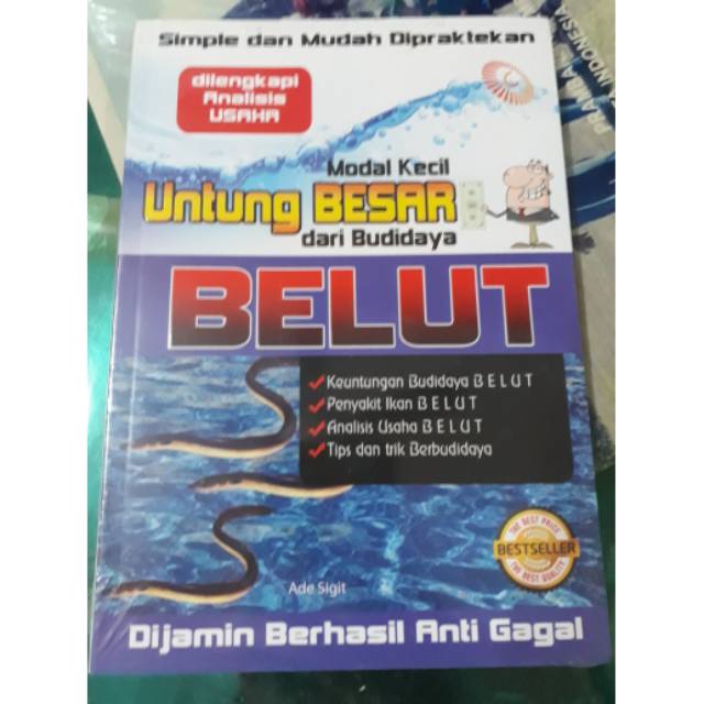Jual Budidaya BELUT | Shopee Indonesia