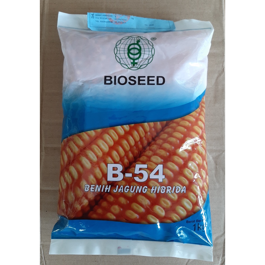 Jual Benih Bibit Jagung Hibrida BIOSEED B-54 Kemasan 1Kg | Shopee Indonesia