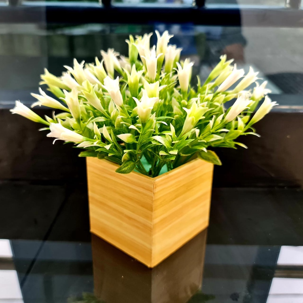 Jual Tanaman Hias Mini Terompet Bunga Pajangan Ruang Tamu Bunga ...