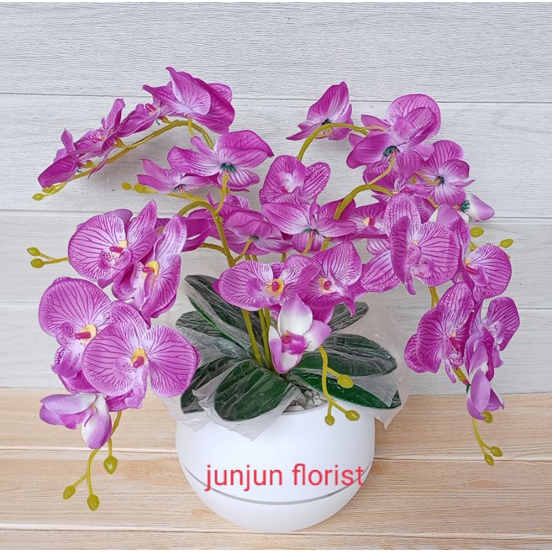 Jual Bunga anggrek kainjumbo pot bola besar/bunga anggrek jumbo ...