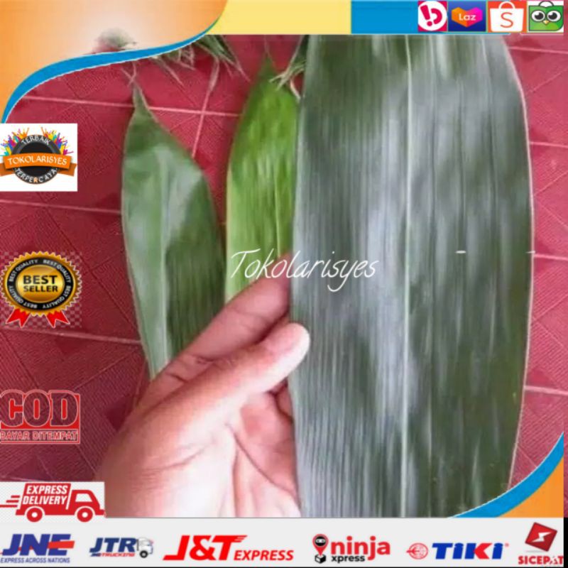 Jual DAUN BAMBU JUMBO kondisi FRESH bahan bungkus bacang/bakcang ...