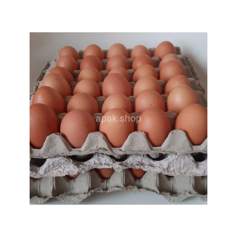 Jual Telur Ayam 1 papan (30 butir) | Shopee Indonesia