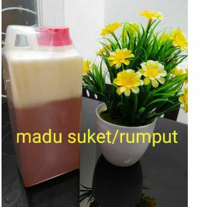 Jual madu suket / rumput asli 1kg | Shopee Indonesia