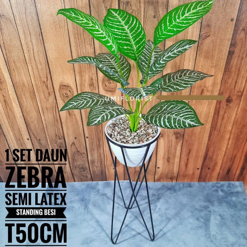 Jual Set Daun zebra semi latex plus pot dan standing besi | Shopee ...