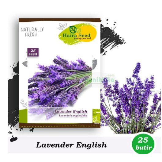 Jual Benih-Bibit Bunga Lavender English (Haira Seed) | Shopee Indonesia