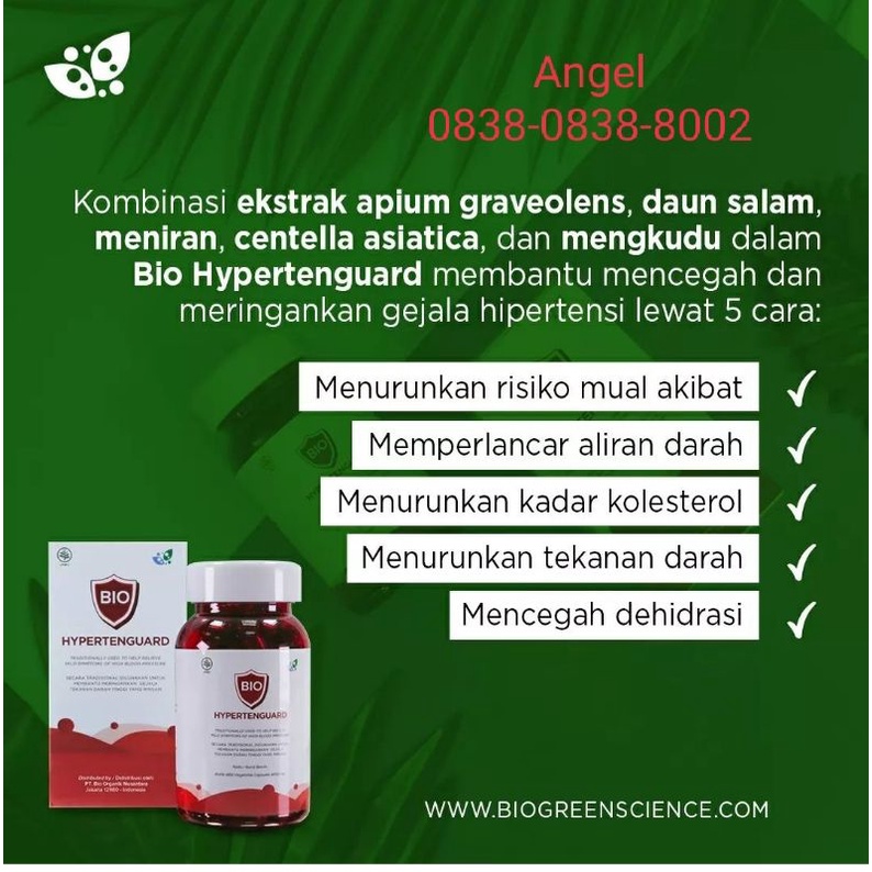 Jual BIO HYPERTENGUARD, produk biogreen science | Shopee Indonesia