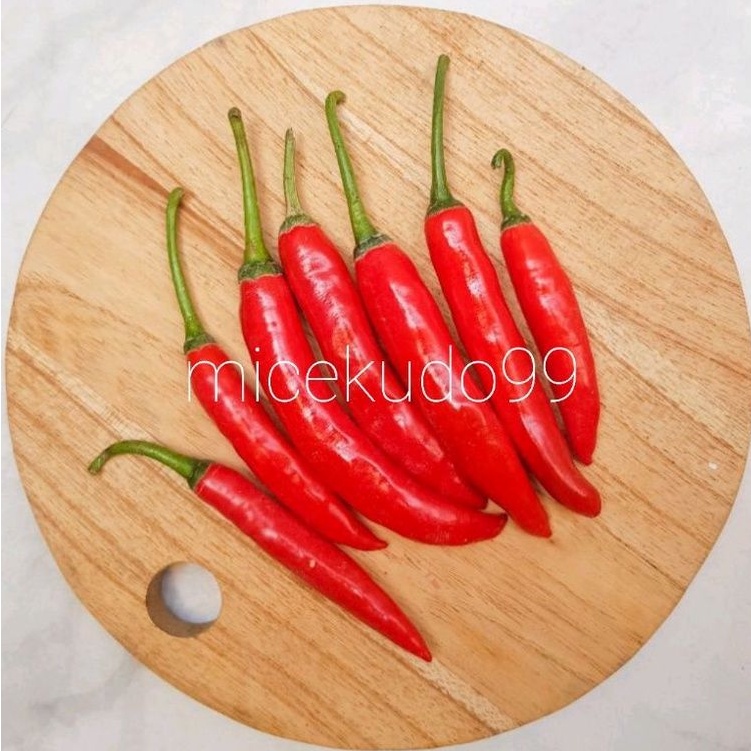 Jual CABE MERAH BESAR SEGAR 250GR / FRESH RED BIG CHILLI CABAI | Shopee ...