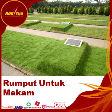 Jual Rumput Untuk Makam Ukuran 100x200 Type Jepang 30mm Premium Dari ...