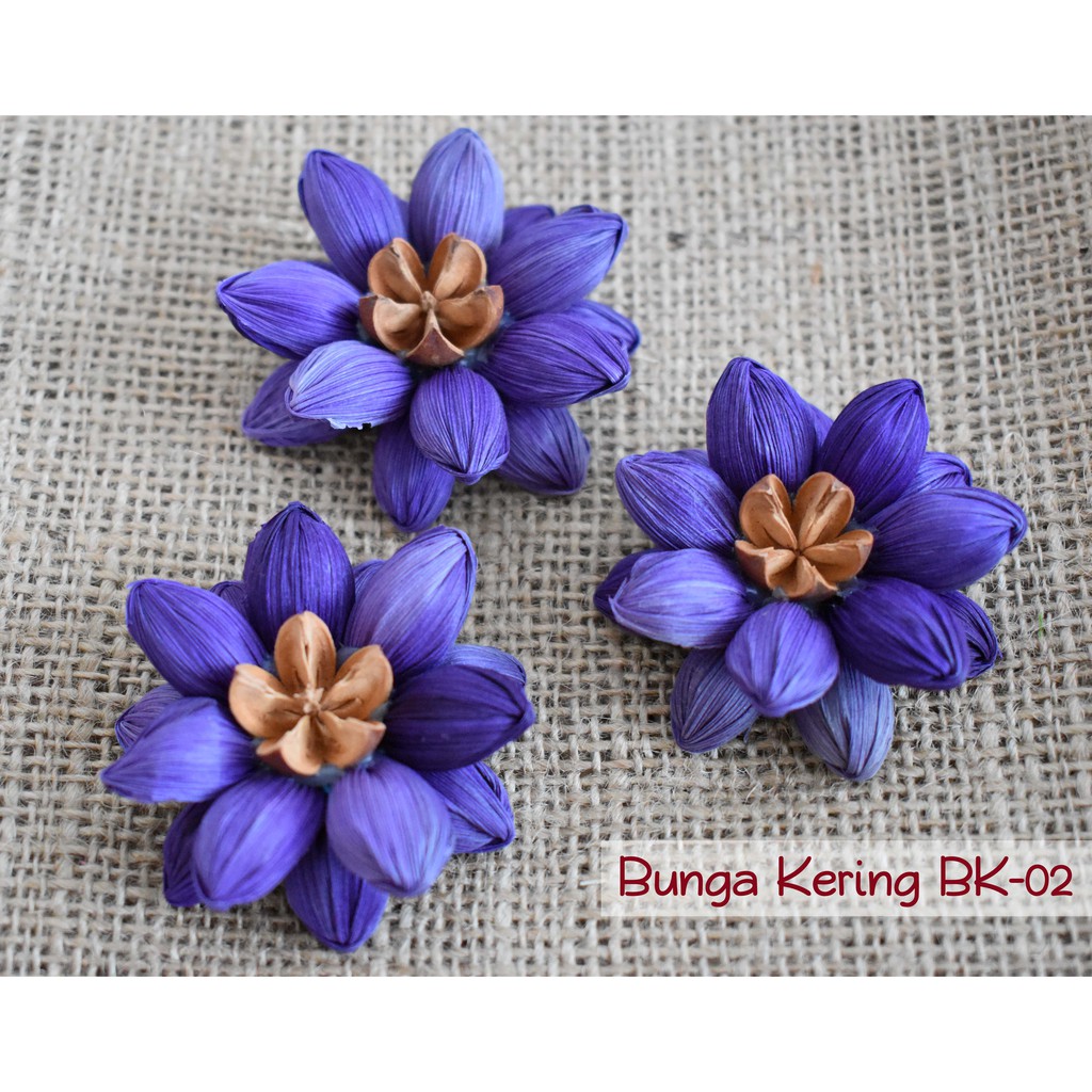 Jual Bunga kering BK-02 (1 pcs) | Shopee Indonesia