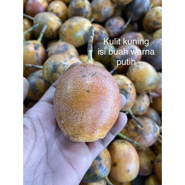 Jual buah markisa bali manis segar 1kg fresh buah lokal | Shopee Indonesia