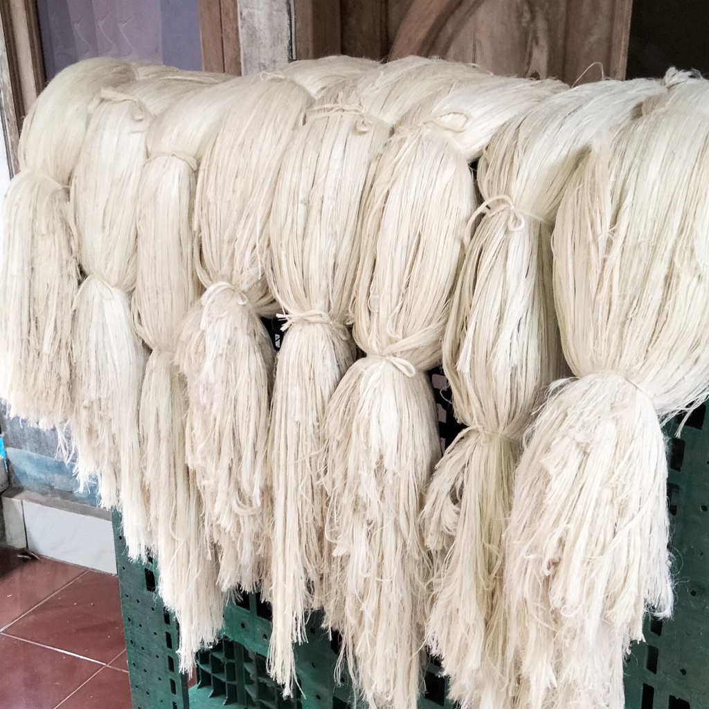 Jual Serat Daun Nanas Serat Alam Pineapple Leaf Fibre 100% Alami Tanpa ...