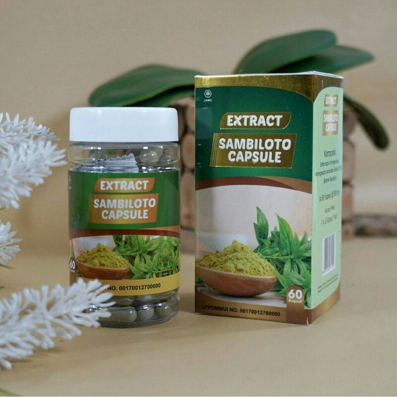 Jual Obat Bronkitis/Obat Radang Tenggorokan/Kapsul Extra Sambiloto Asli ...