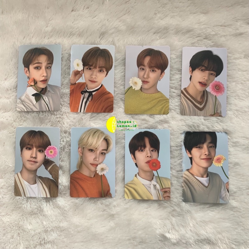 Jual Sharing PC Photocard Nacific R10 stray kids skz | Changbin ...