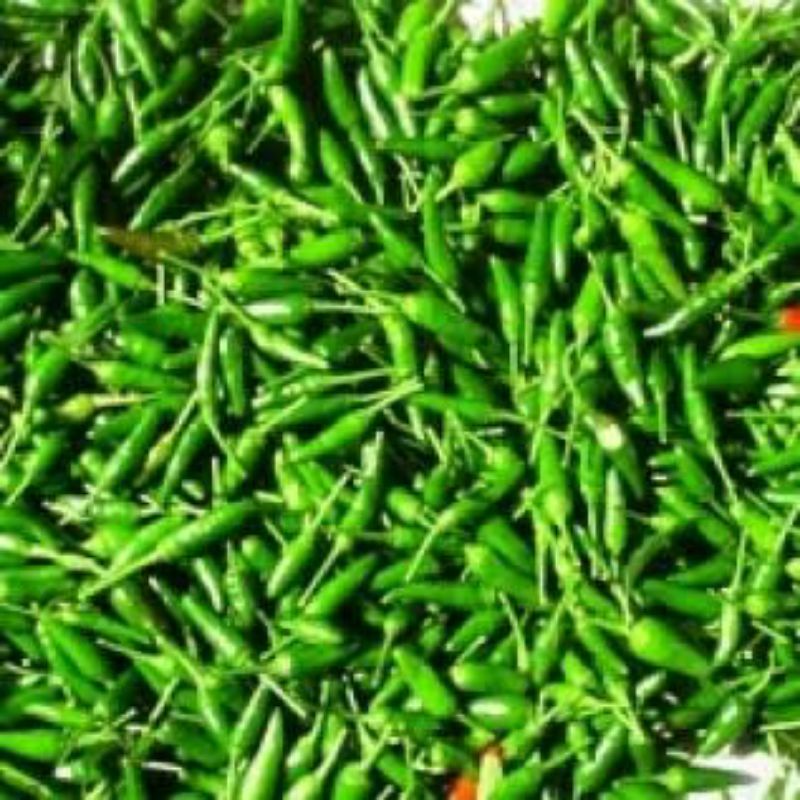Jual Cabe Rawit Hijau Rawit ijo | Shopee Indonesia