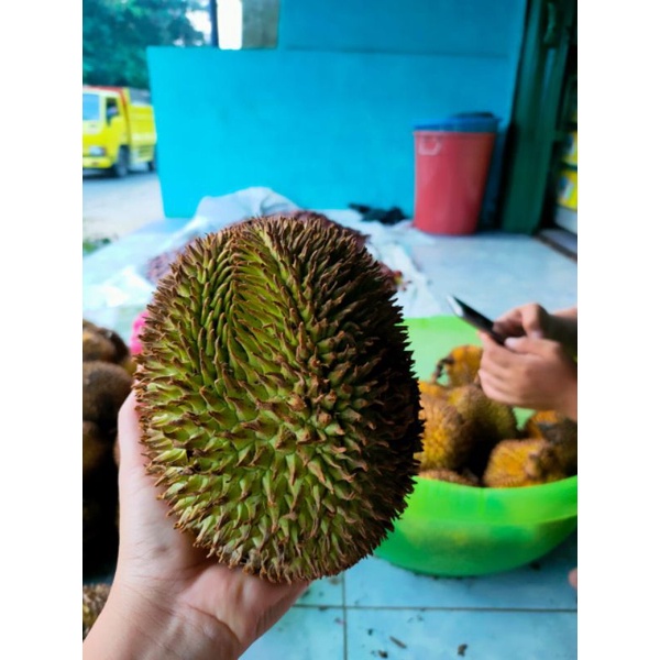Jual buah lay / durian lay | Shopee Indonesia