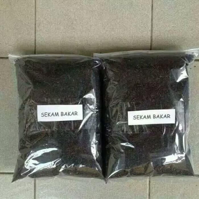 Jual Sekam Bakar - Arang Sekam - Kulit Padi Bakar 500Gram | Shopee ...