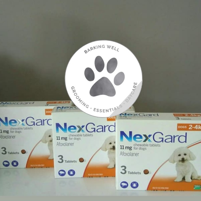 Jual NEXGARD S (2-4kg) - Obat Kutu, Scabies & Demodex (per-tablet ...