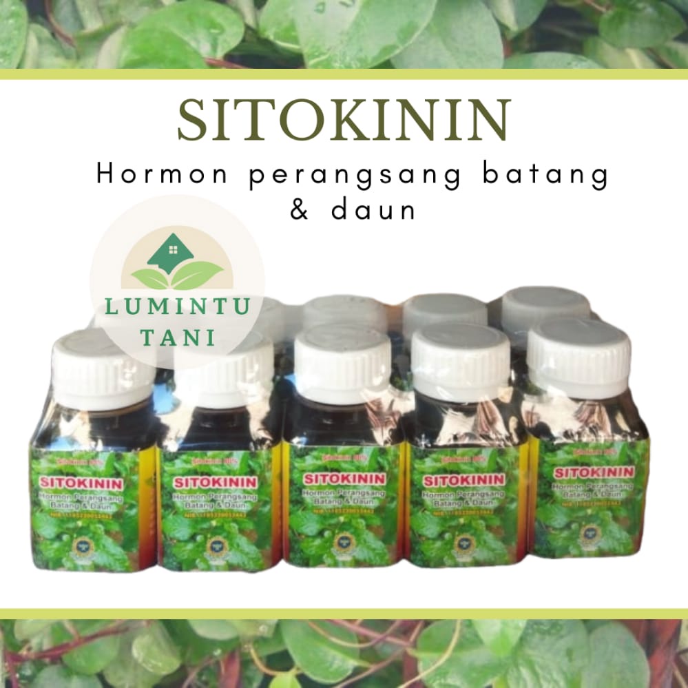 Jual SITOKININ 80% (SITOKININ) 60ML/PCS | Shopee Indonesia