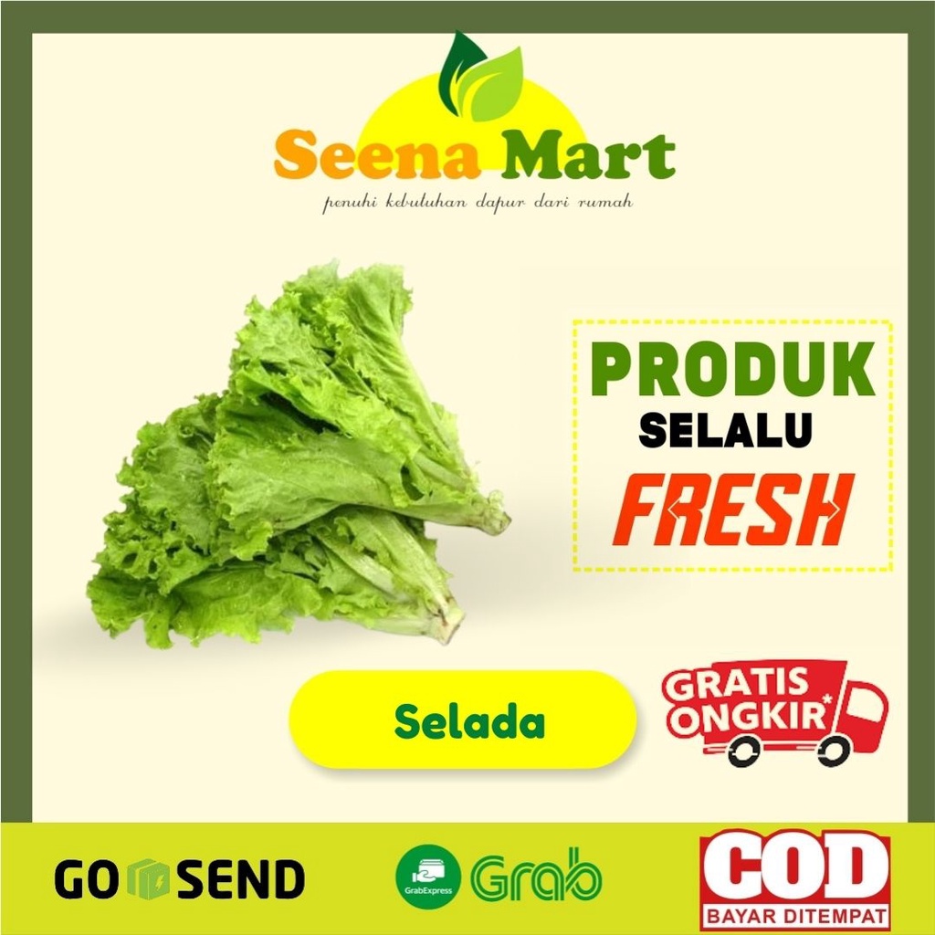 Jual Selada Segar Selada Hijau Sayur Sayuran Segar Selada Air Fresh ...