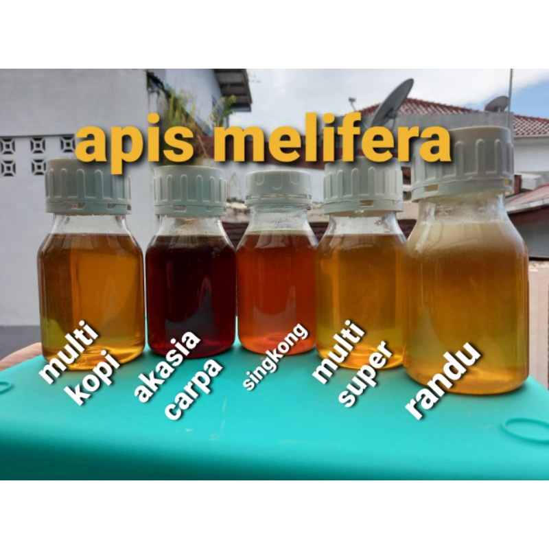 Jual Madu Murni Apis Melifera Berbagai Ukuran | Shopee Indonesia