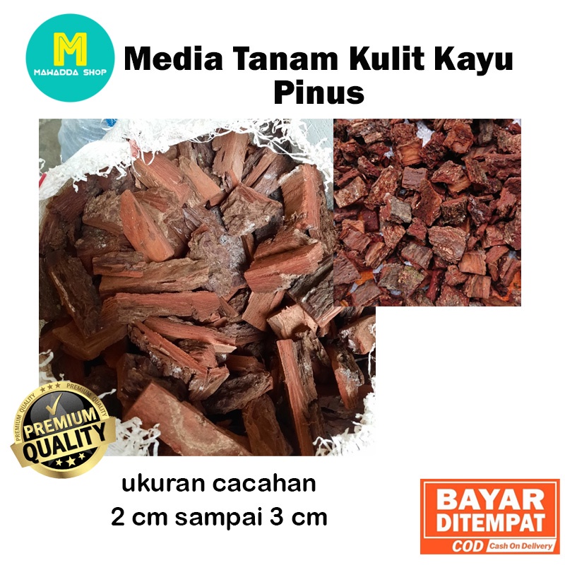 Jual Media Kulit Kayu Pinus Cacah Media Tanam Serbaguna Kemasan 1 kg ...