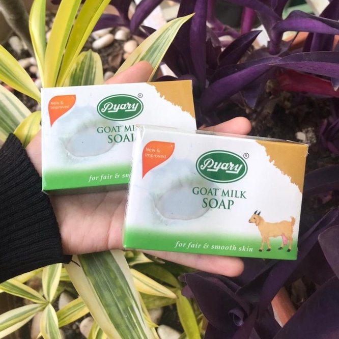 Jual Sabun Arab Pyary GOAT MILK SOAP (ORIGINAL BEST SELLER 100% ...