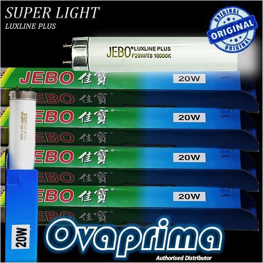 Jual Lampu Neon T8 Jebo 20Watt Warna Putih Luxline Plus Super Light ...