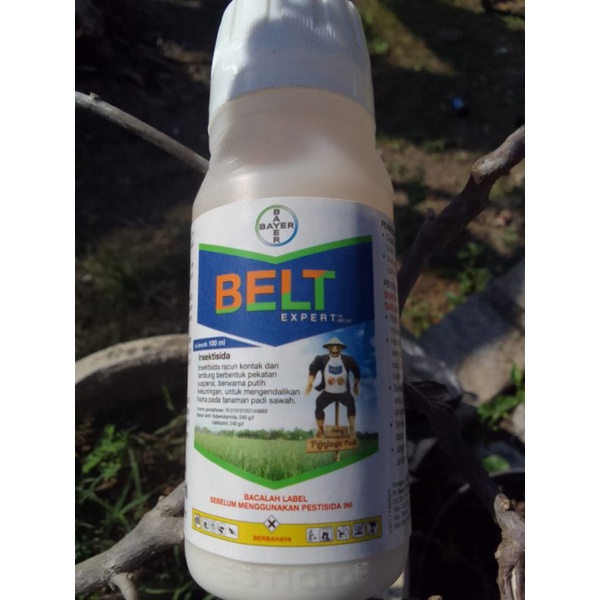 Jual BELT EXPERT INSEKTISIDA 480 SC - 100ML | Shopee Indonesia