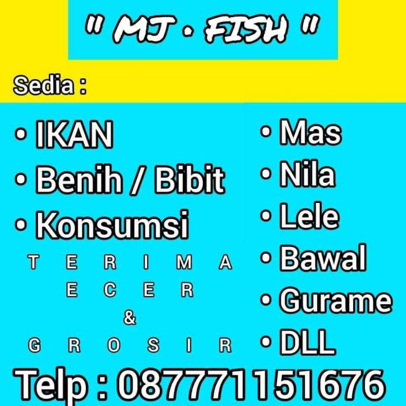 Jual Bibit / Benih Lele Uk 2-10 Cm | Shopee Indonesia