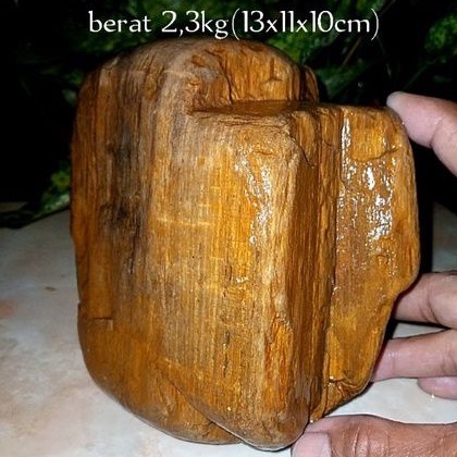Jual 2,3kg batu fosil kayu galih kelor(181) | Shopee Indonesia