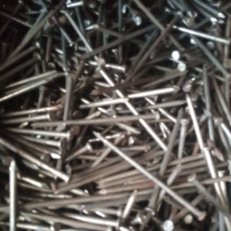 Jual paku kayu paku biasa 4,5,7,10 | Shopee Indonesia