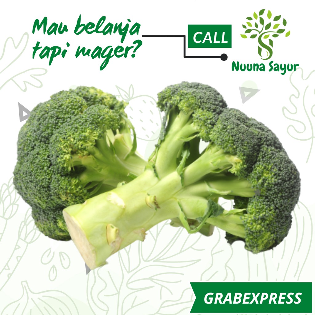 Jual SAYUR SAYURAN SEGAR BROKOLI BROCCOLI HIJAU SEGAR FRESH SERANG ...
