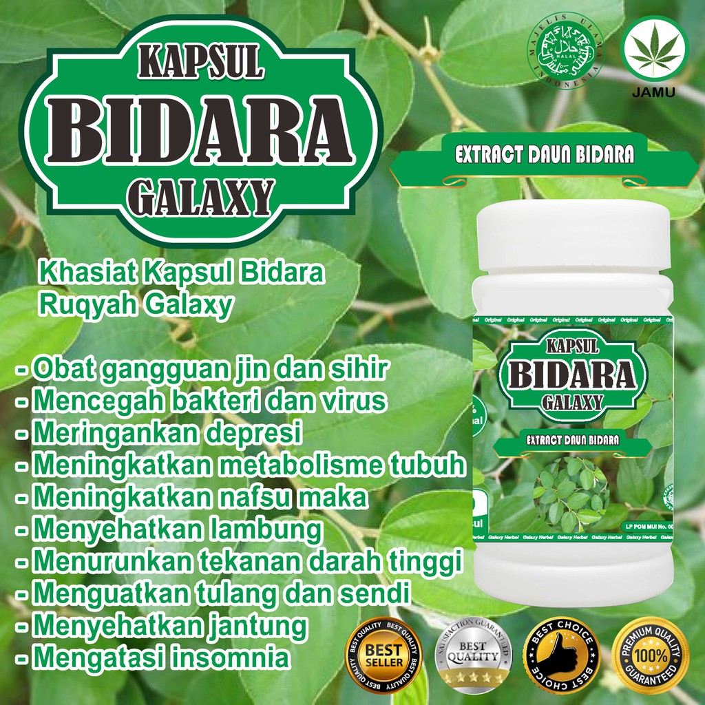 Jual Ekstrak Daun Bidara Kapsul Bidara GALAXY PREMIUM Kapsul Daun ...