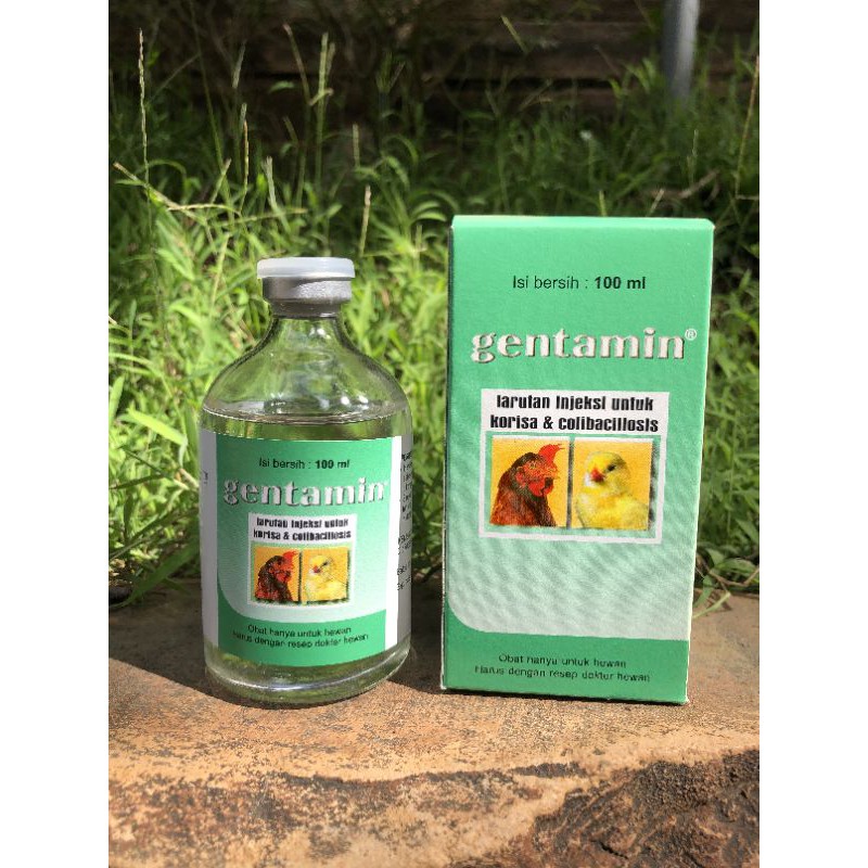 Jual Gentamin 100 ml (larutan injeksi untuk korisa & colibacillosis ...