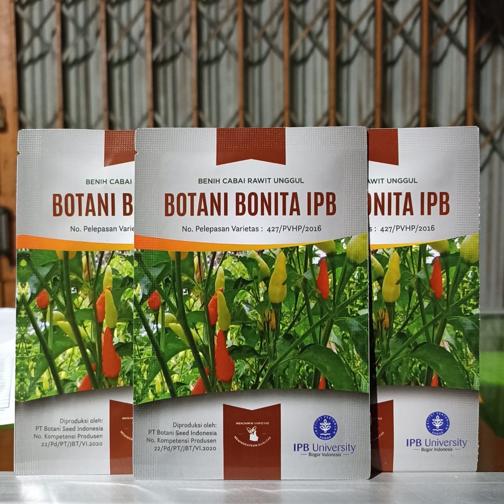 Jual Benih Bibit Cabe Rawit Pedas Botani Bonita IPB 1 Gr Botani Seed ...