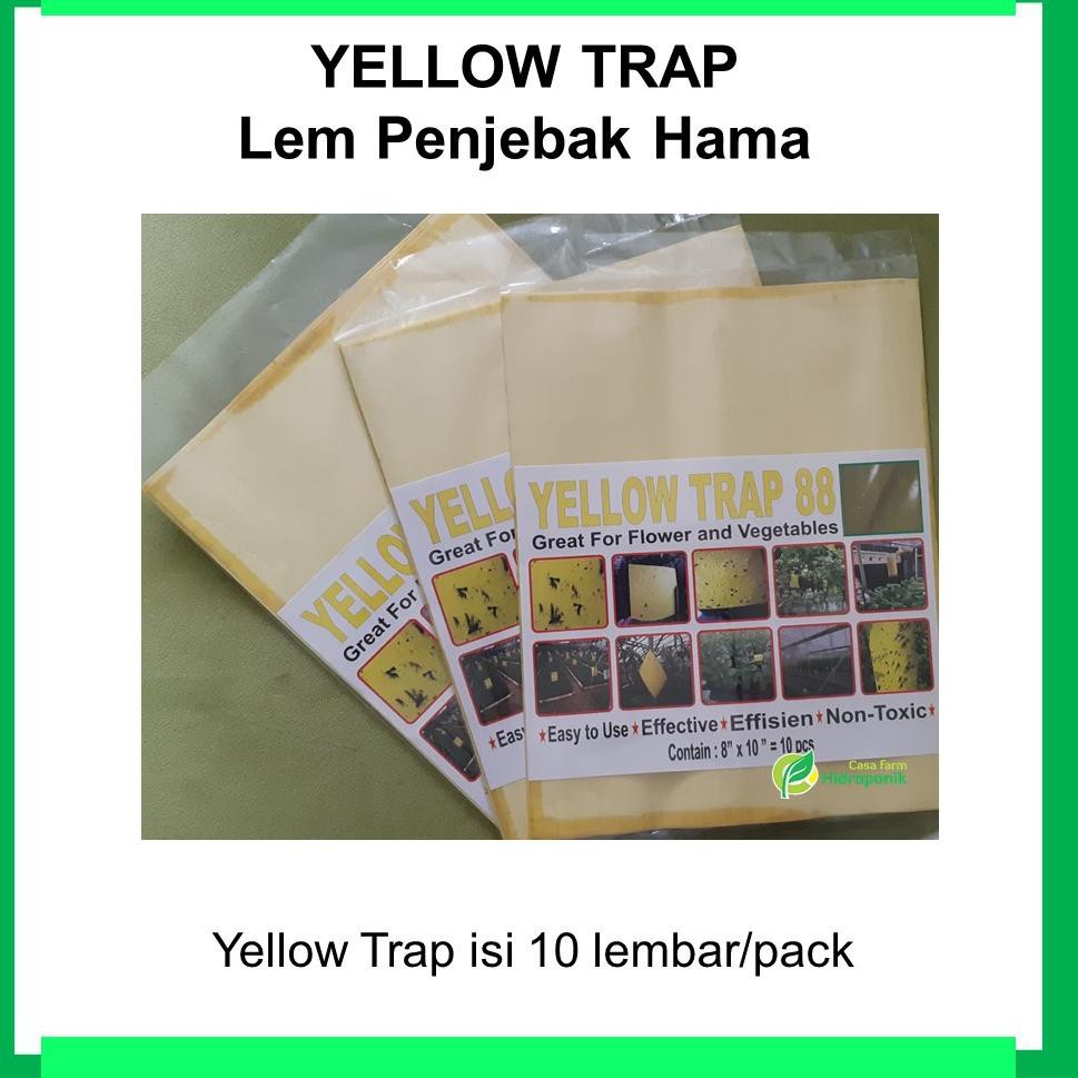 Jual YELLOW TRAP LEM PEREKAT PERANGKAP HAMA SERANGGA KUTU LALAT BUAH ...