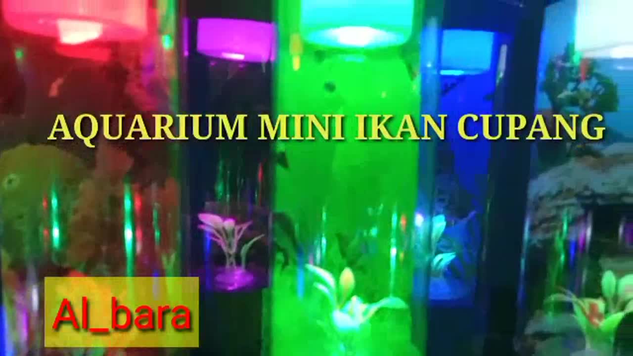 Jual Aquarium Akuarium Mini Tabung Bulat Ikan Cupang Guppy Hias Full ...