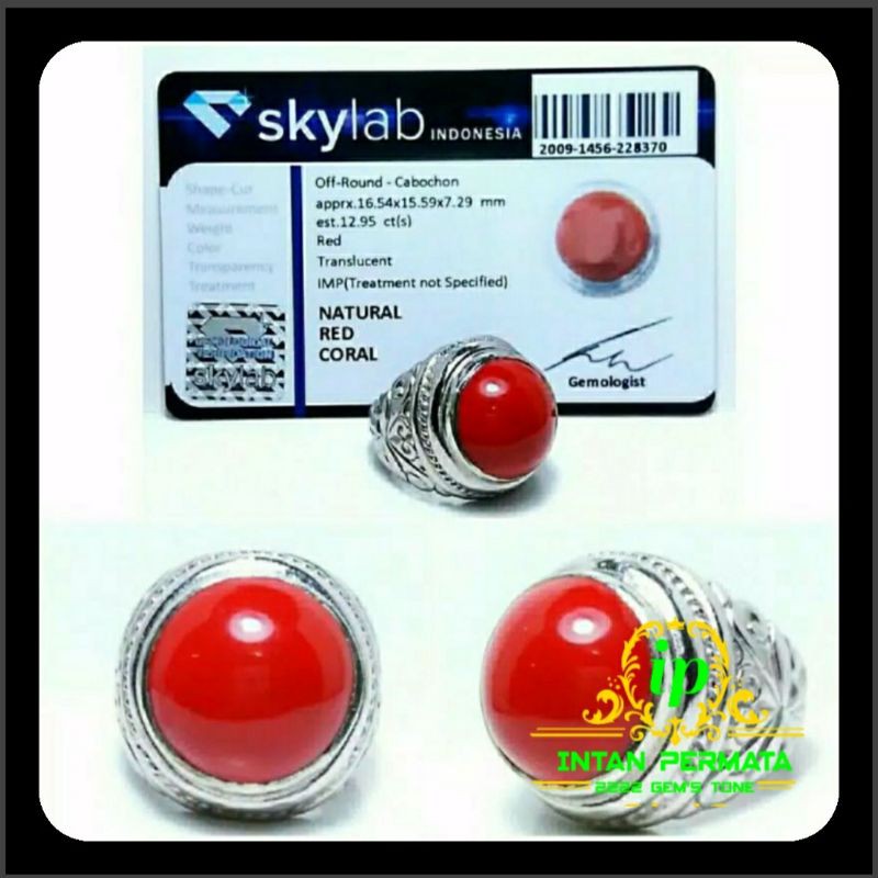 Jual cincin batu 100%ASLI RED MARJAN super mewah memo SKY LEB | Shopee ...