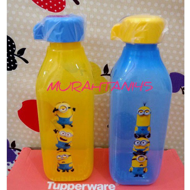 Jual Botol minum eco minion 500 ml tupperware eceran 1 pcs | Shopee ...