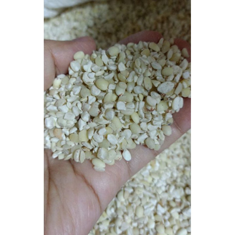 Jual Beras Jali Jali Lokal (±500g) PEARL BARLEY LOKAL / BIJI JALI-JALI ...